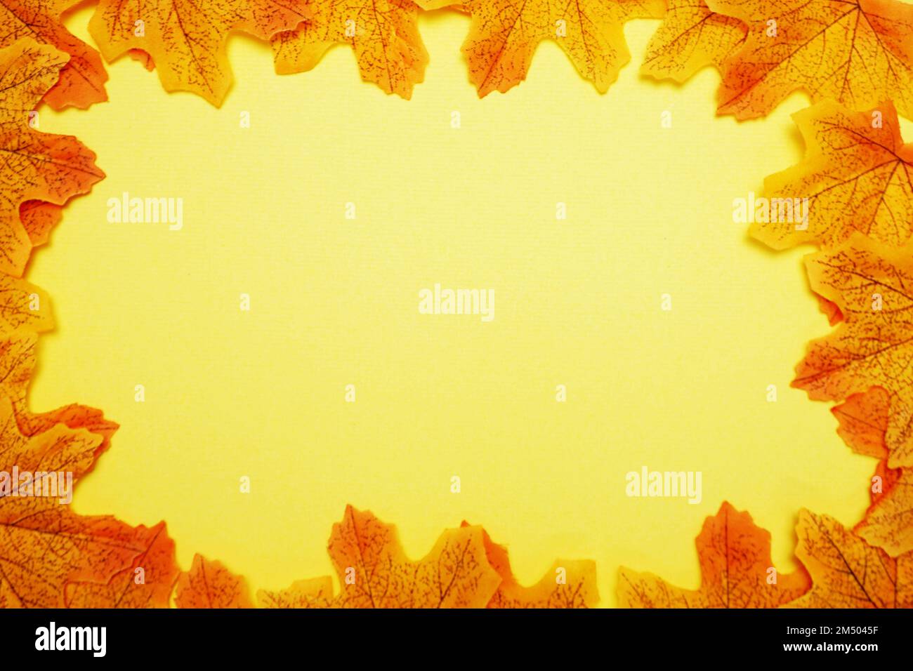 maple autumn leaf border over on yellow background Stock Photo - Alamy