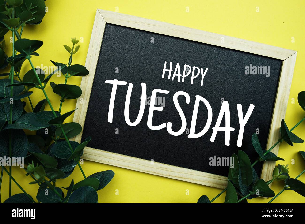 Happy Tuesday typography text written on wooden blackboard with green ...