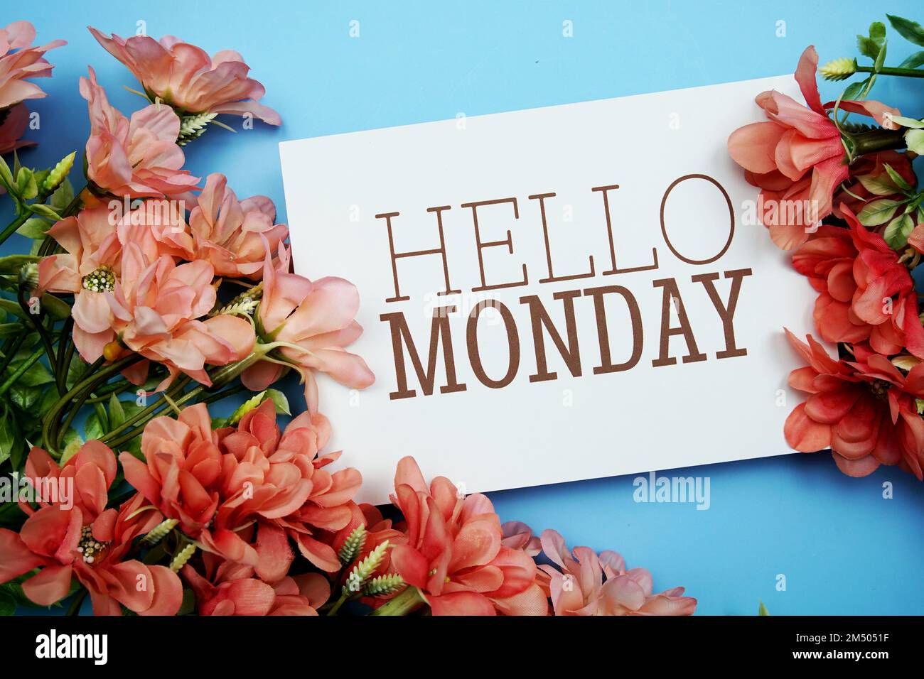 Hello Monday text with Pink Flower frame on blue background Stock Photo - Alamy