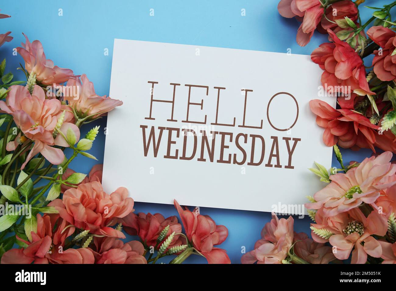 Hello Wednesday text with Pink Flower frame on blue background Stock ...