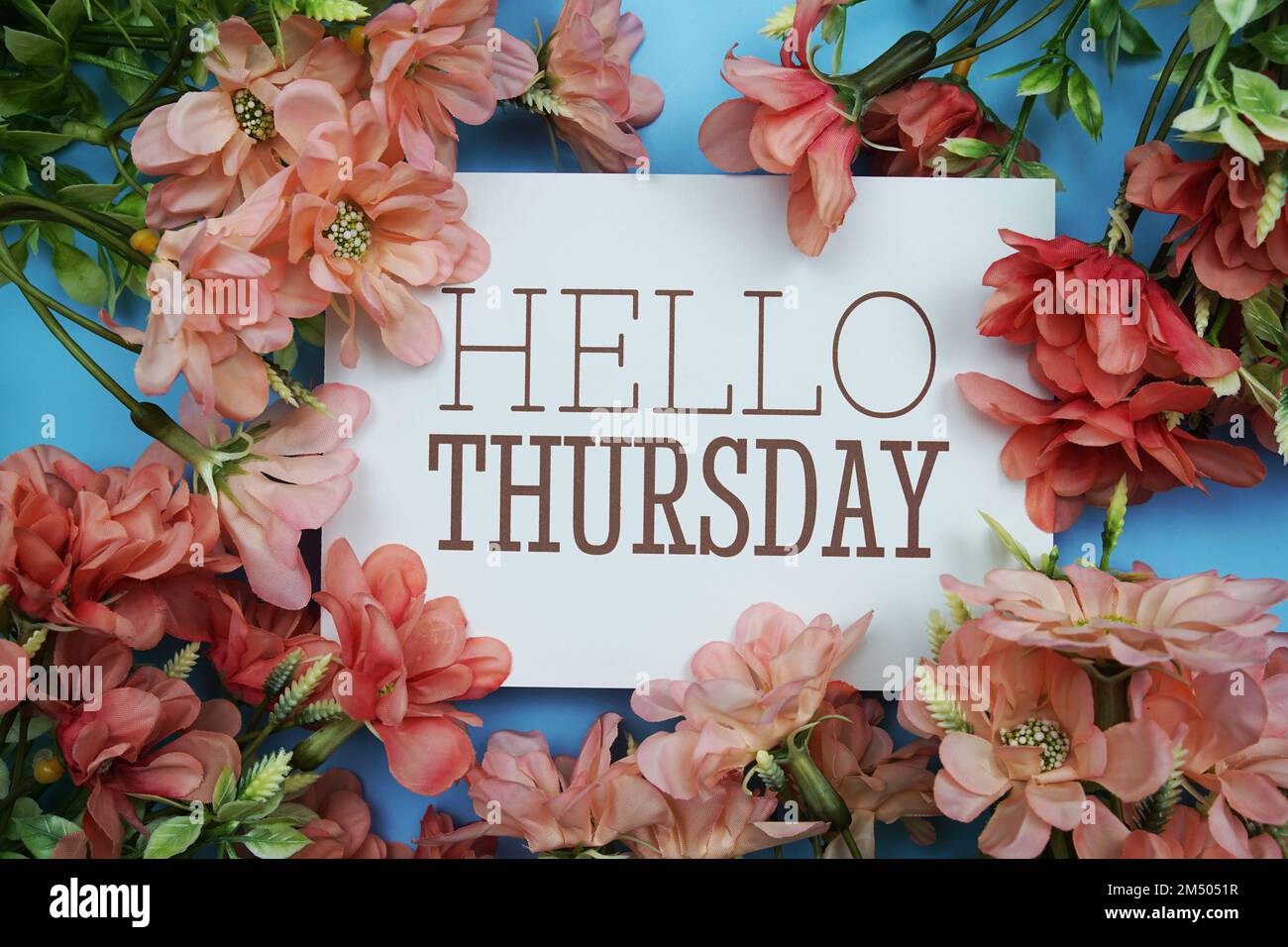 Hello Thursday text with Pink Flower frame on blue background Stock ...