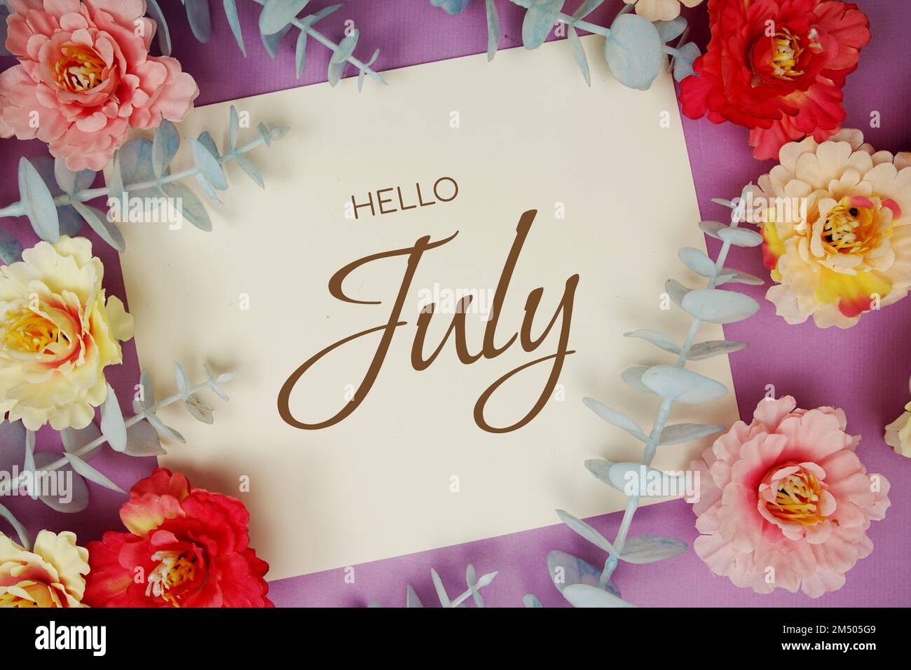 Hello July typography text and flower decorate on purple background ...