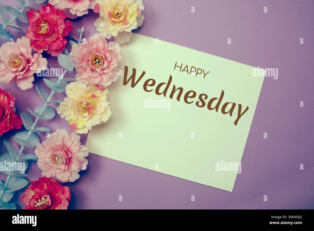 Happy Wednesday typography text and flower decorate on purple ...