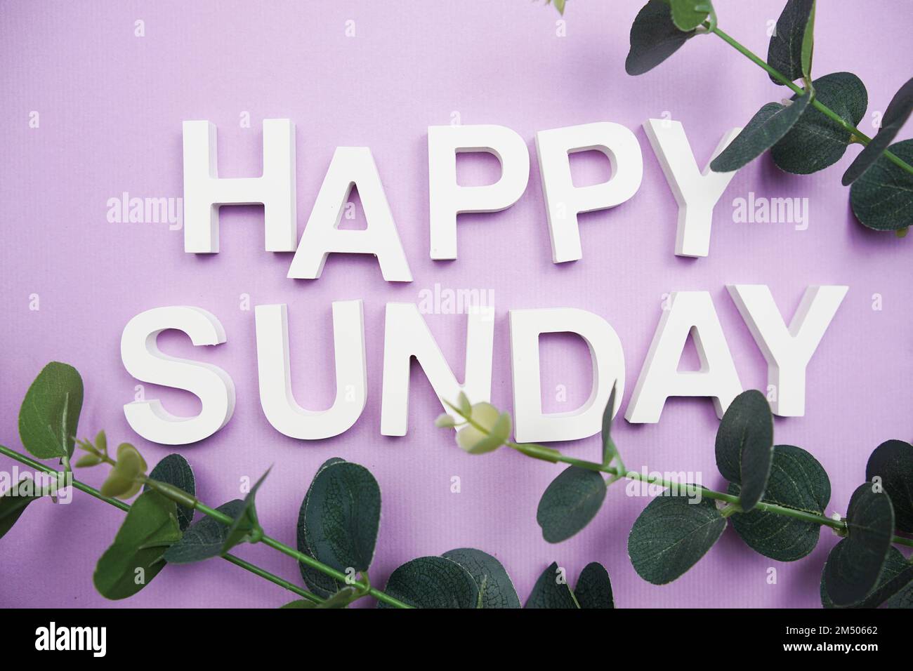 Happy Sunday alphabet letters with eucalyptus leaves on purple ...
