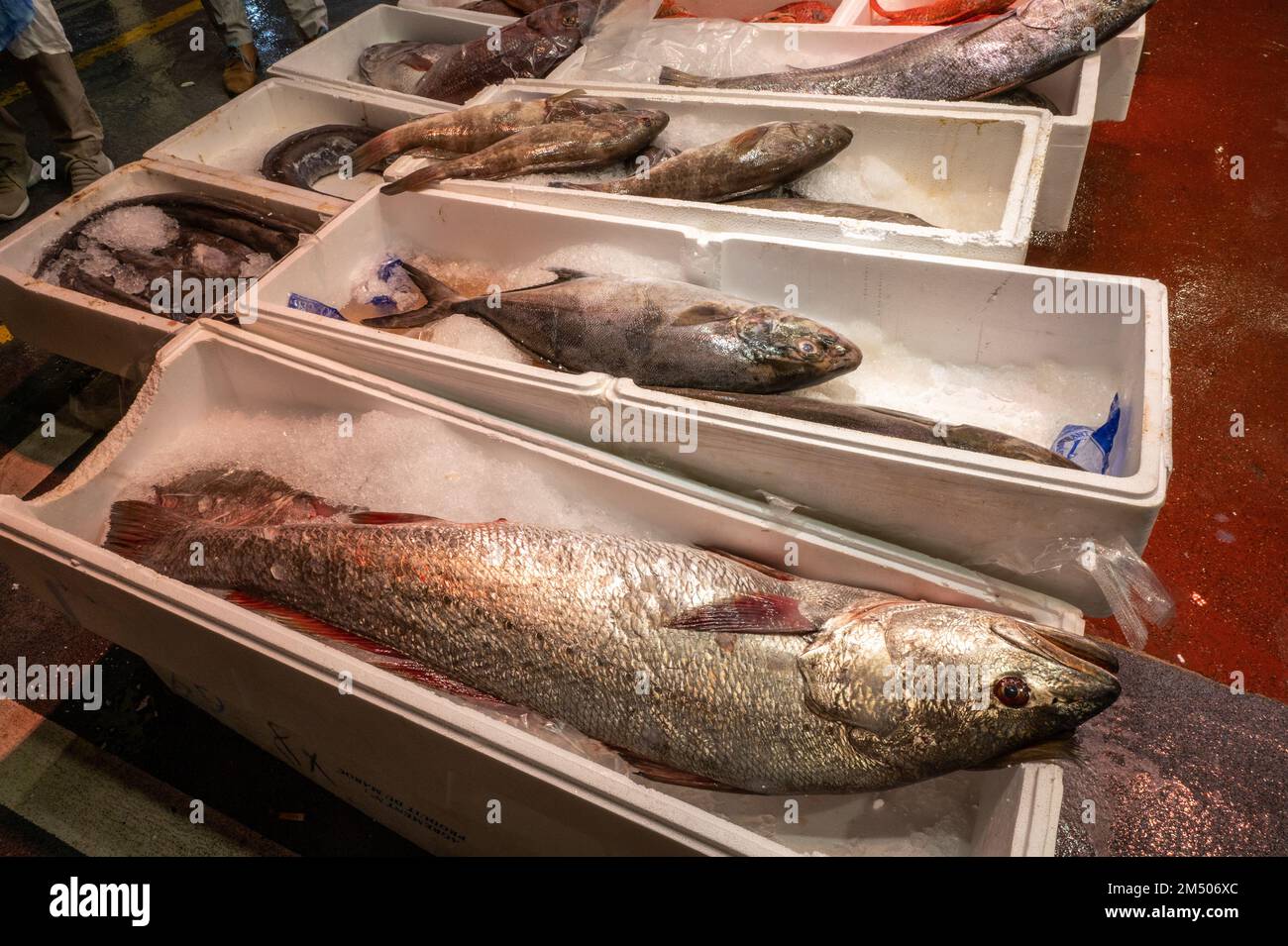 Fresh fish for sale at largest wholesale food market in Spain, Madrid ...