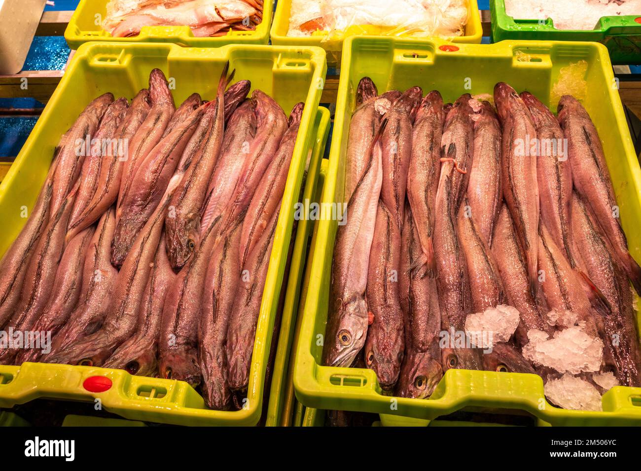 Fresh fish for sale at largest wholesale food market in Spain, Madrid ...
