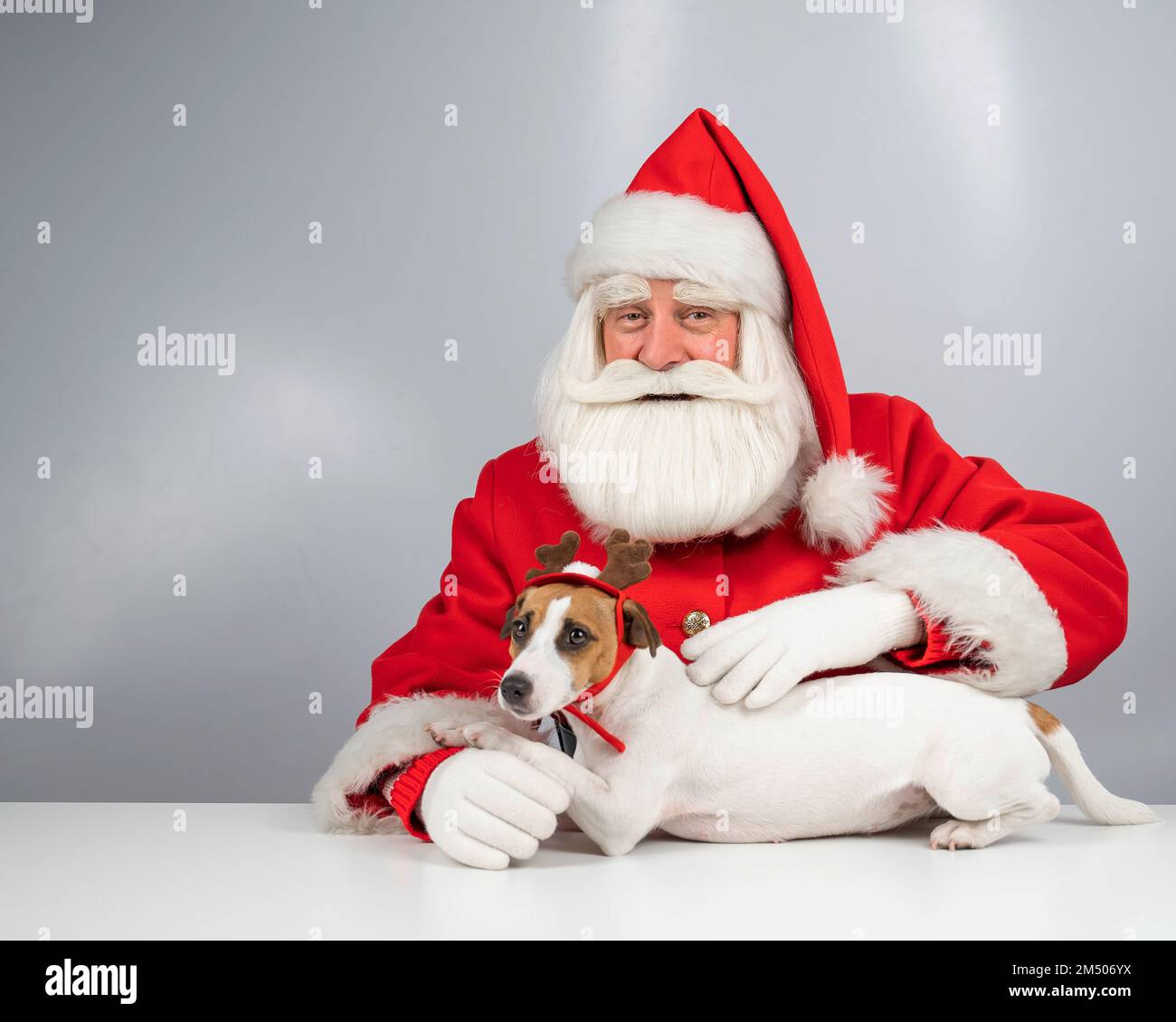 Portrait of santa claus and dog jack russell terrier in rudolf reindeer ...