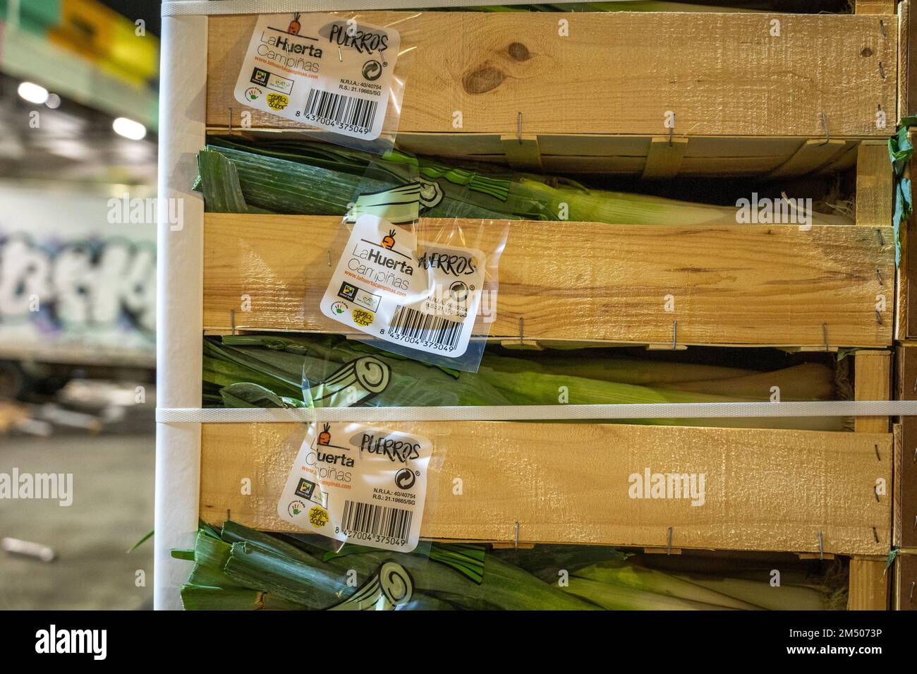 Box of spring onions at largest wholesale food market in Spain, Madrid ...