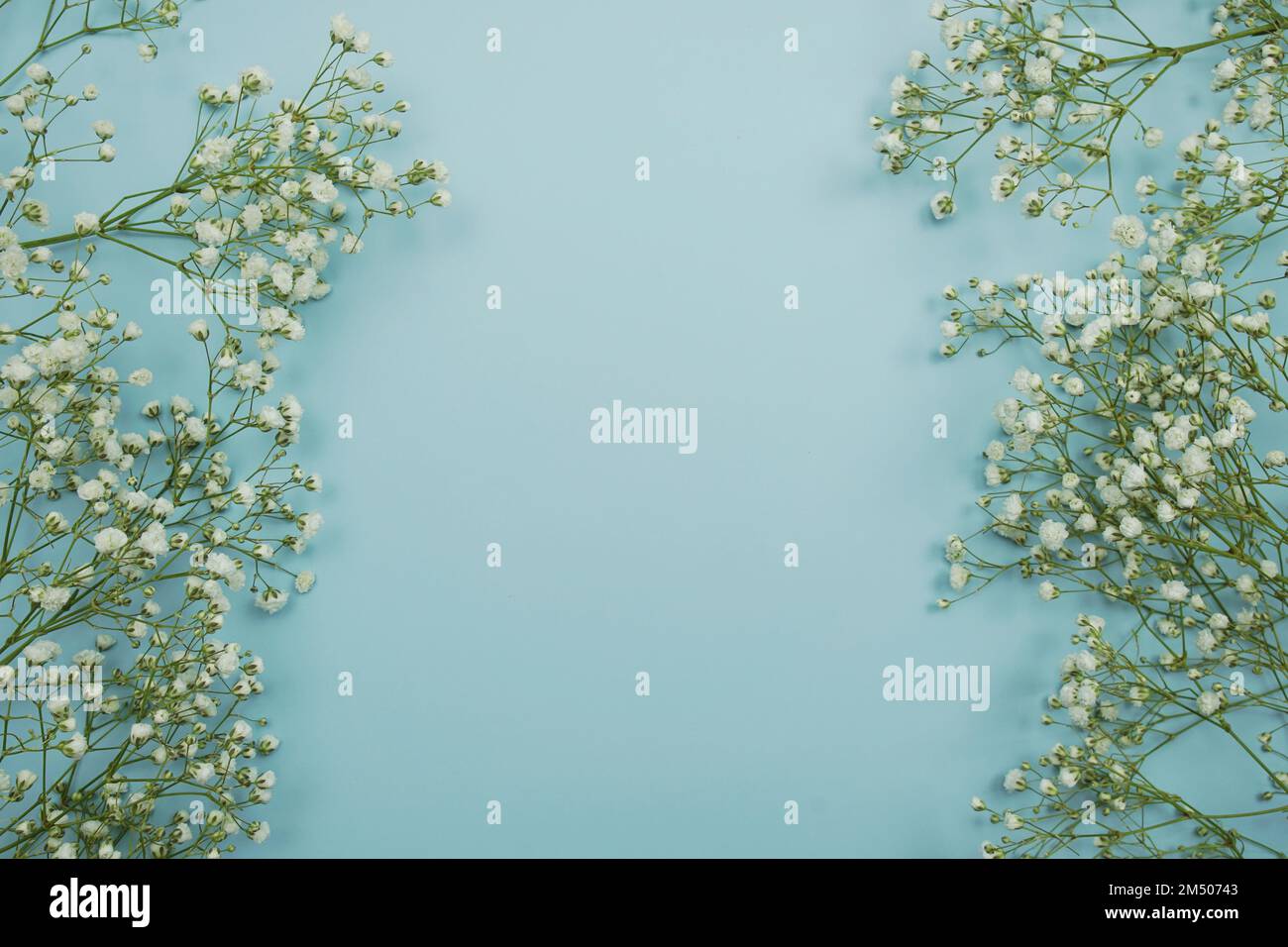 Space for copy background and flower decoration Stock Photo - Alamy