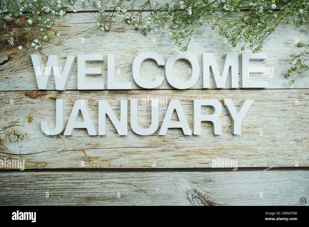 Welcome January alphabet letters with flowers on wooden background ...