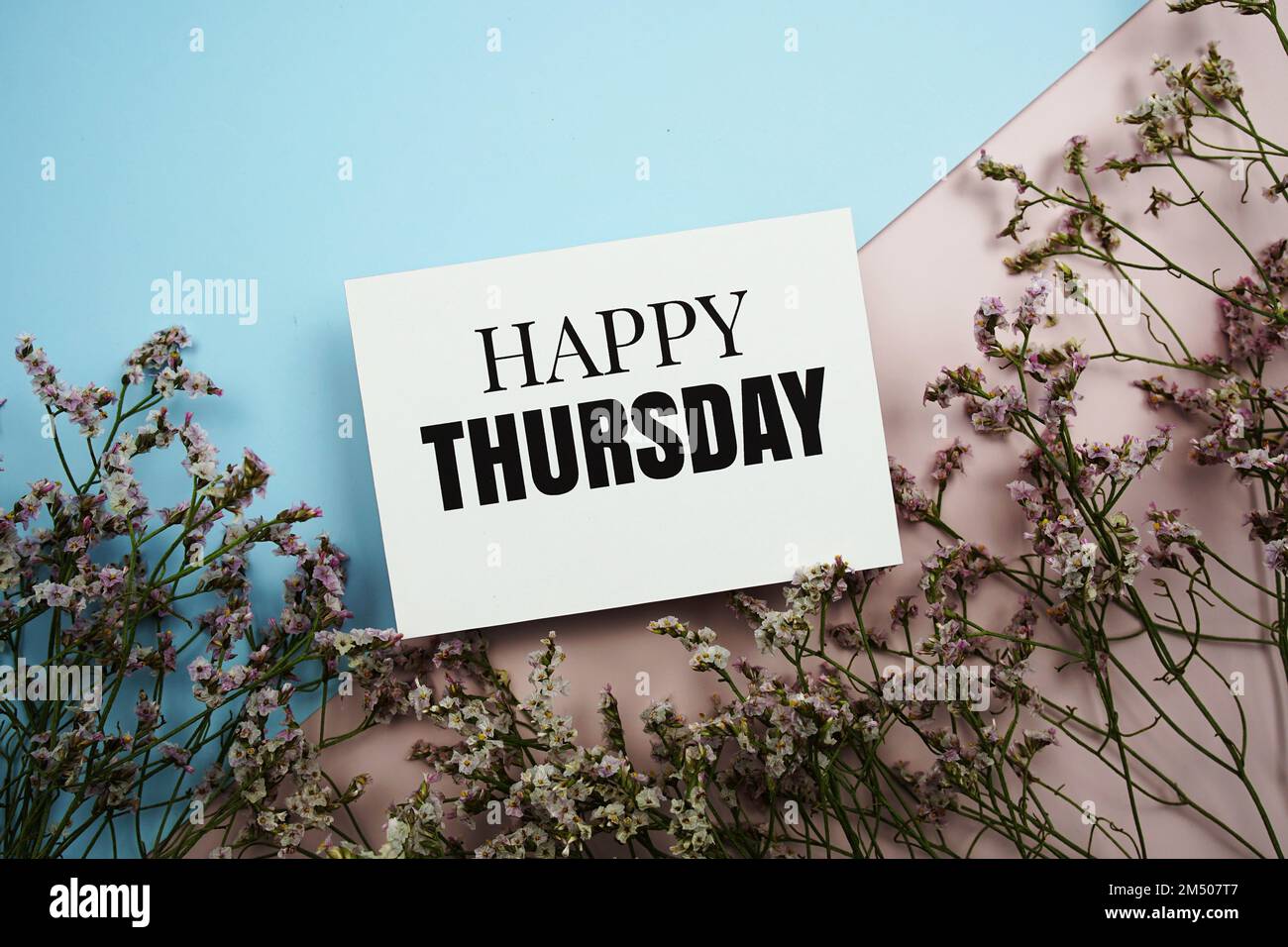 Happy Thursday text message with flower on blue and pink background ...