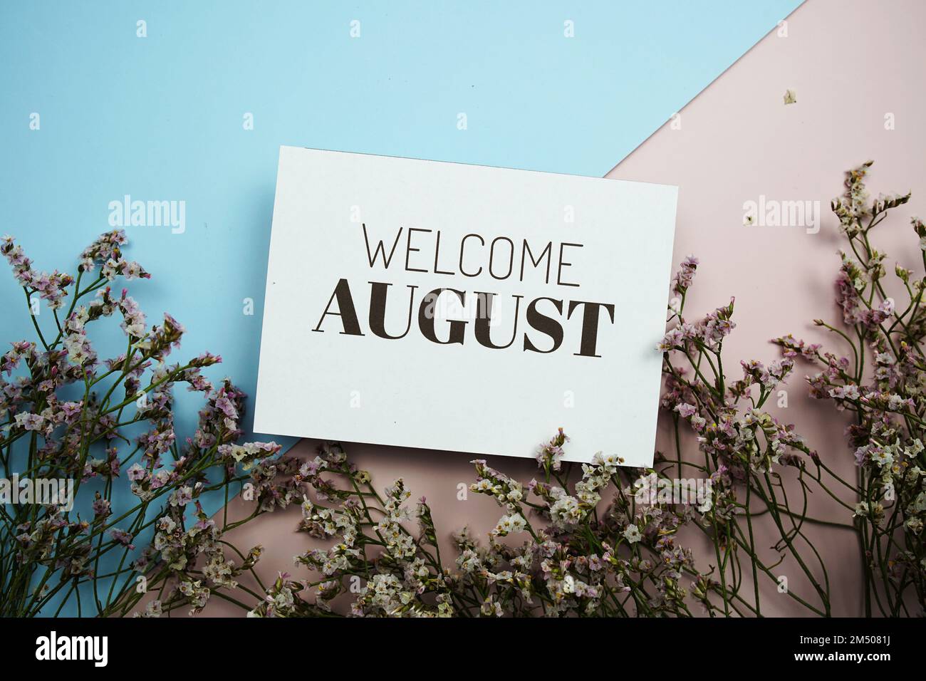 Welcome August text message with flower on blue and pink background ...