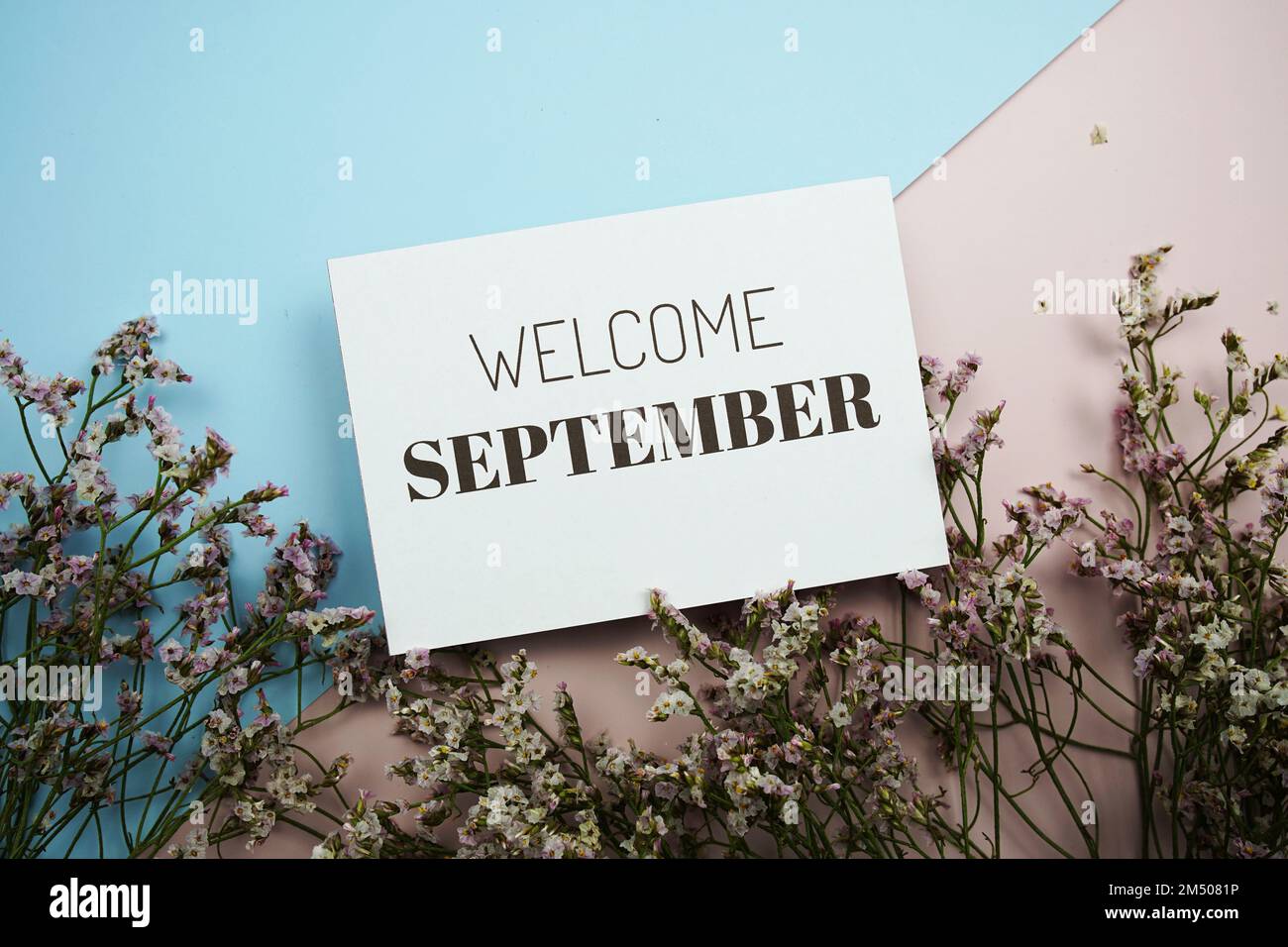 Welcome September text message with flower on blue and pink background ...
