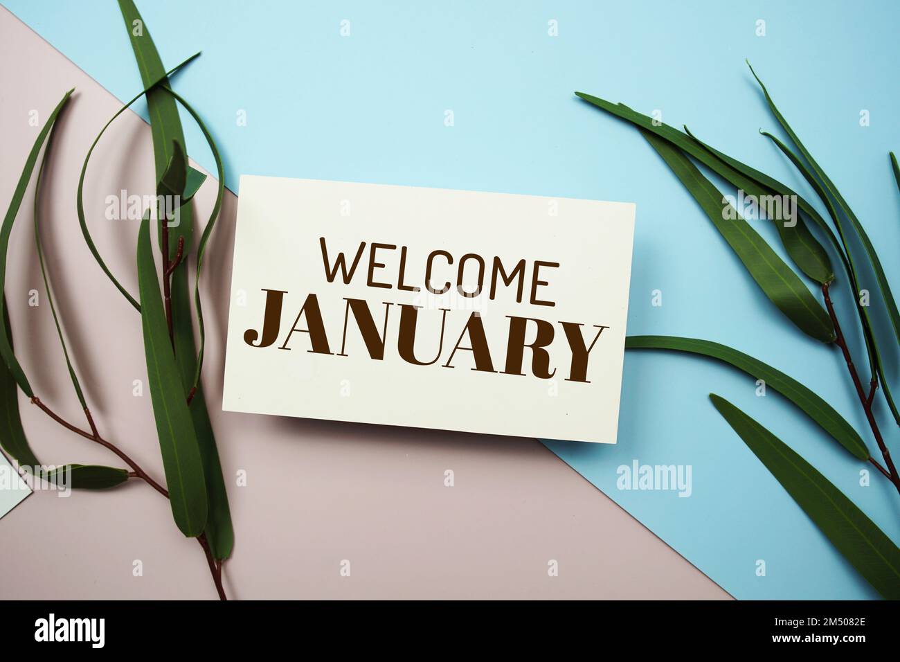 Welcome January text message with green leave on blue and pink ...