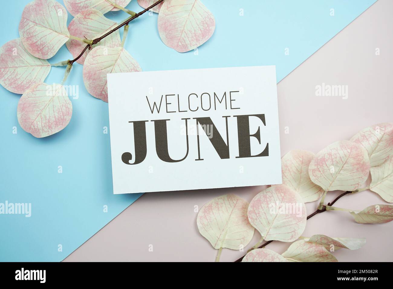 Welcome June text message with green leave on blue and pink background ...
