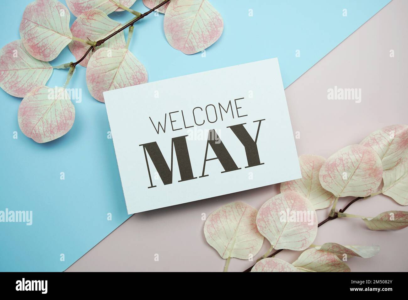 Welcome May text message with artificial leave on blue and pink ...