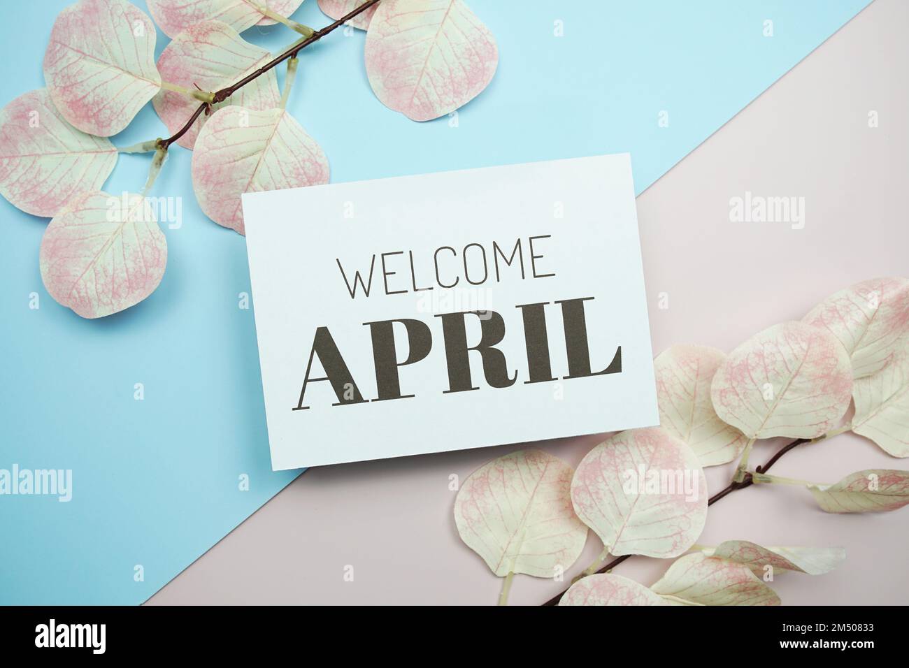 Welcome April text message with artificial leave on blue and pink ...