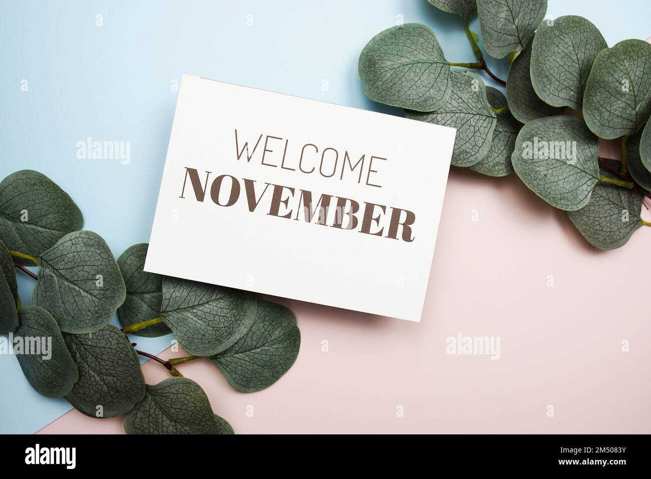Welcome November text message with green leave on blue and pink ...