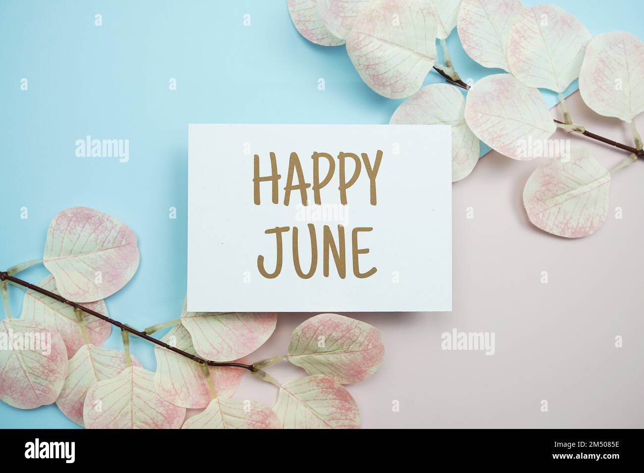 Happy June text message with artificial leave on blue and pink ...