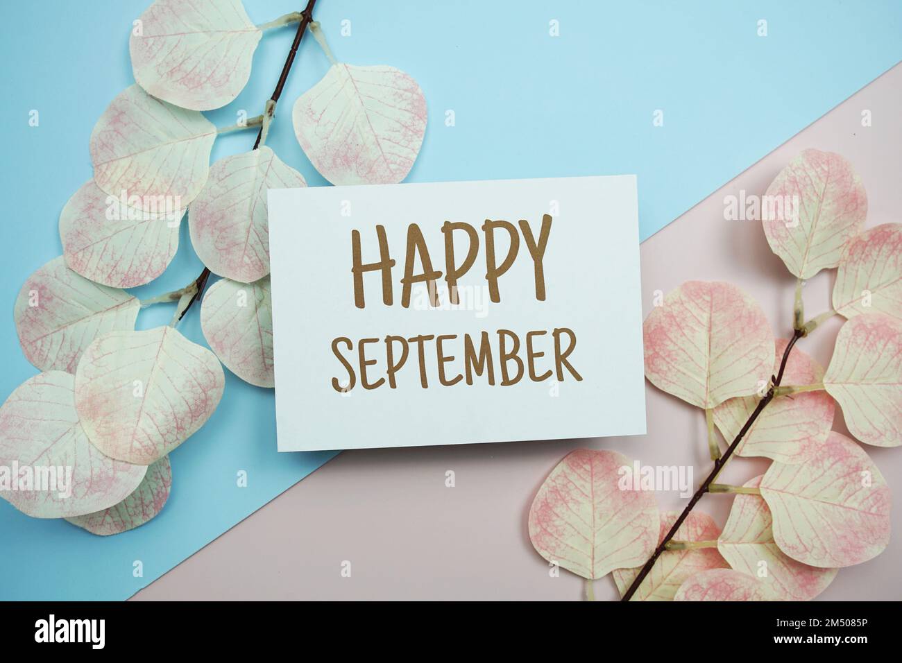 Happy September text message with artificial leave on blue and pink ...