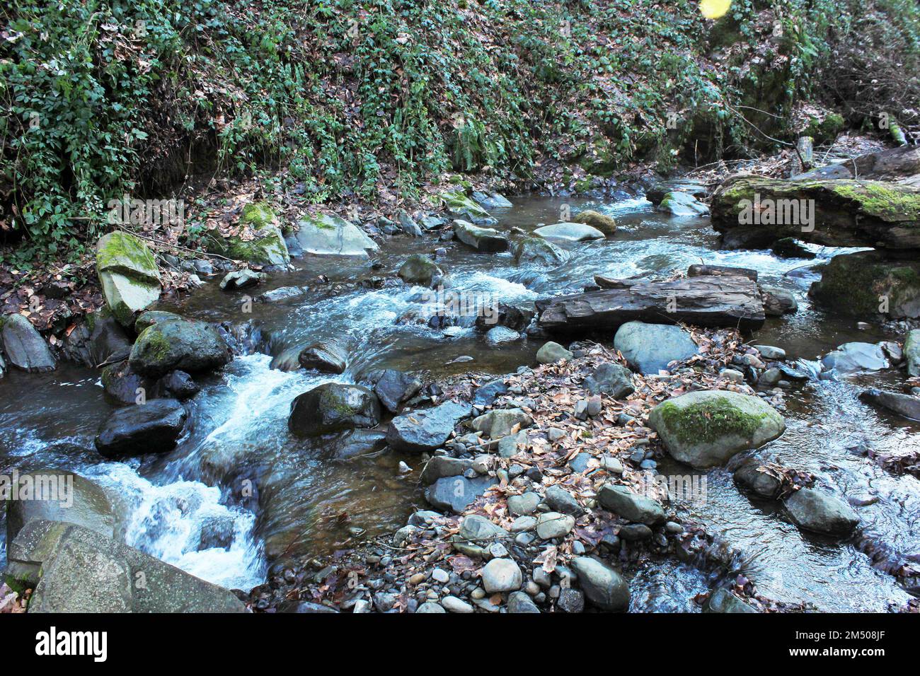 Beautiful river with waterfalls in the forest. Lerik. Masalli region ...