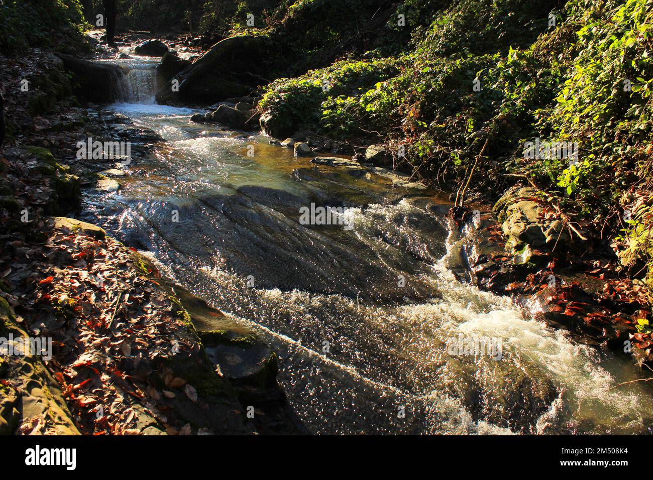 Beautiful river with waterfalls in the forest. Lerik. Masalli region ...
