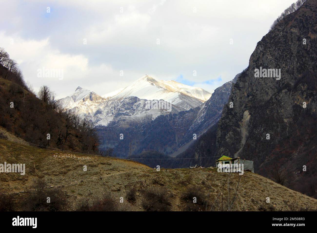 Sky and winter ferns hi-res stock photography and images - Alamy