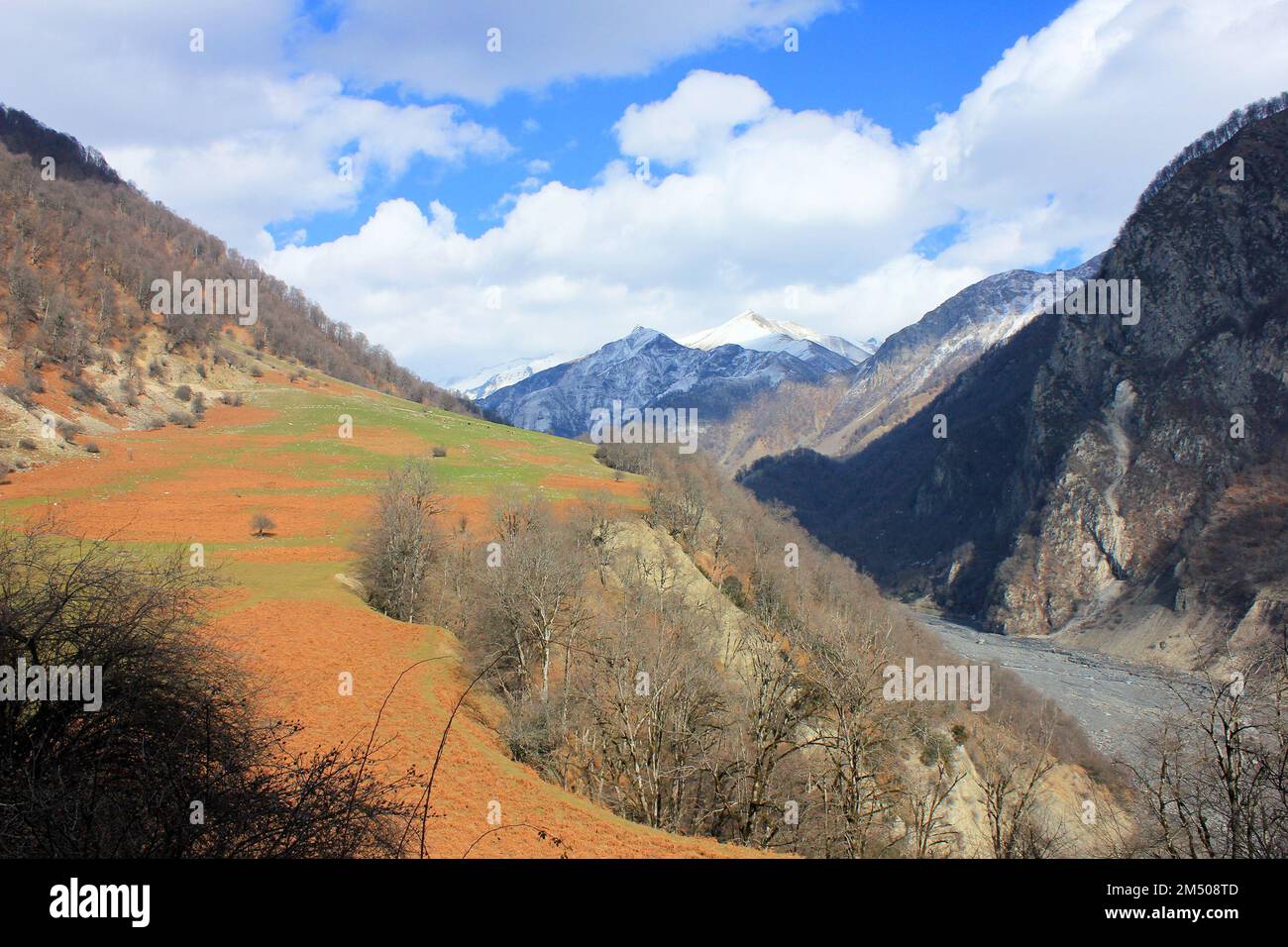 Sky and winter ferns hi-res stock photography and images - Alamy