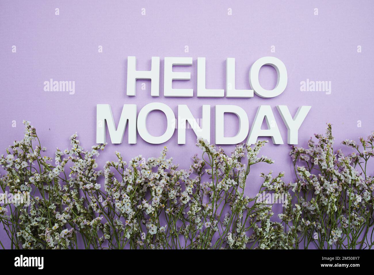 Hello Monday alphabet letters with flower frame on purple background ...
