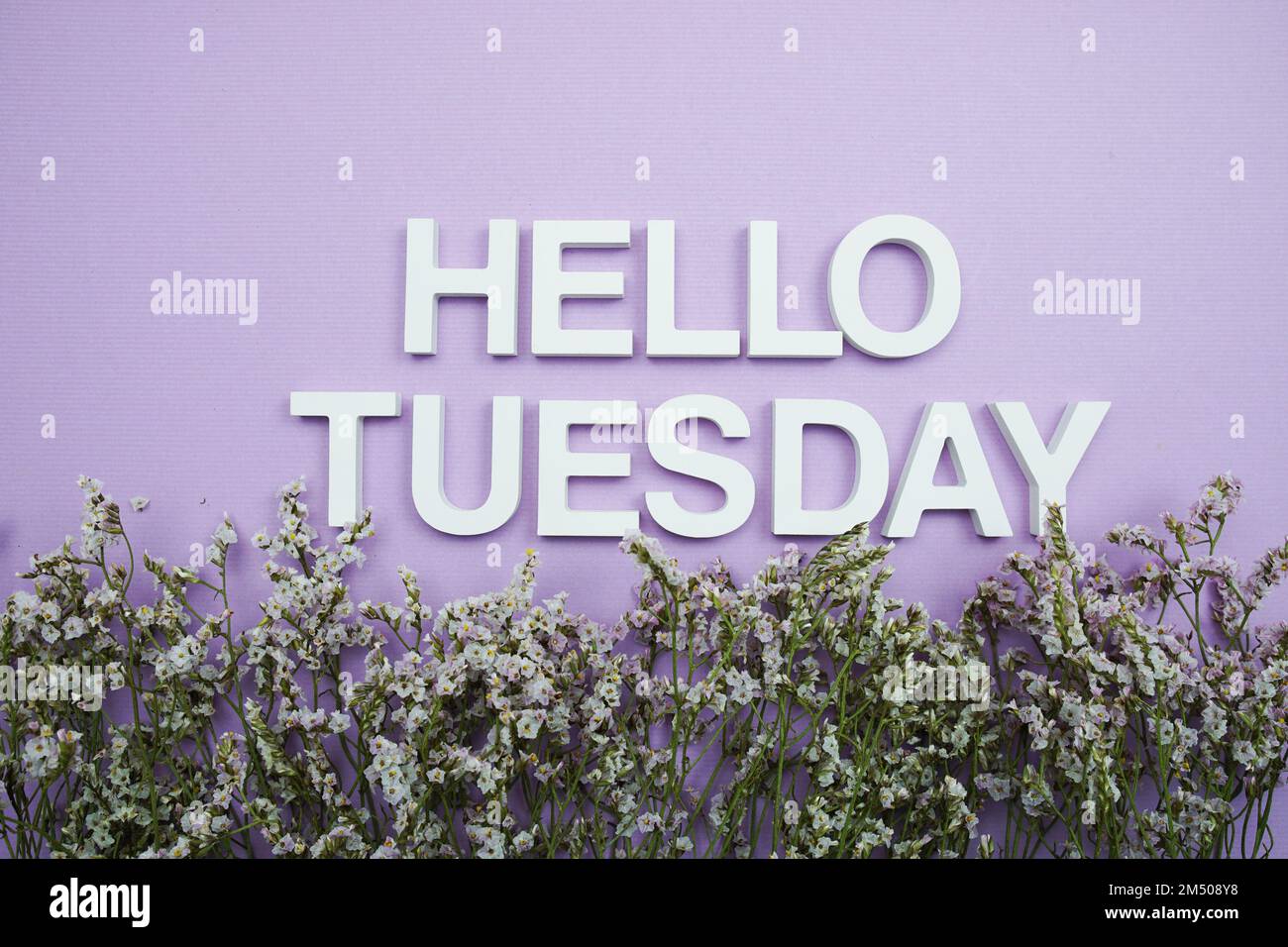 Hello Tuesday alphabet letters with flower frame on purple background ...