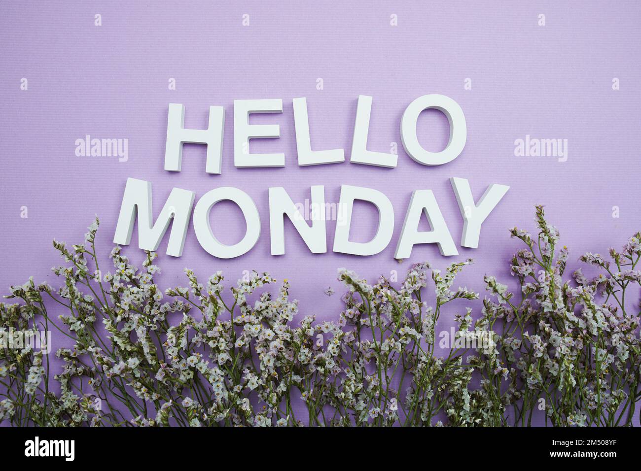 Hello Monday alphabet letters with flower frame on purple background ...
