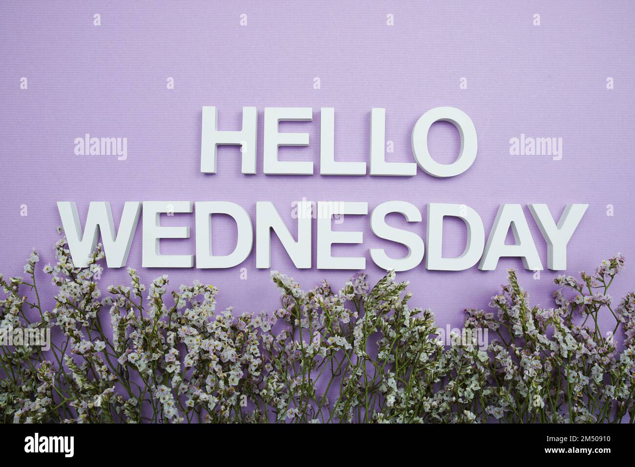 Hello Wednesday alphabet letters with flower frame on purple background ...