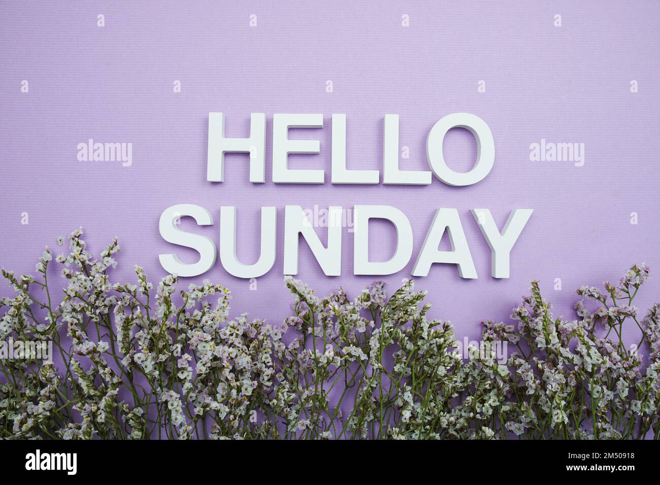 Hello Sunday alphabet letters with flower frame on purple background ...