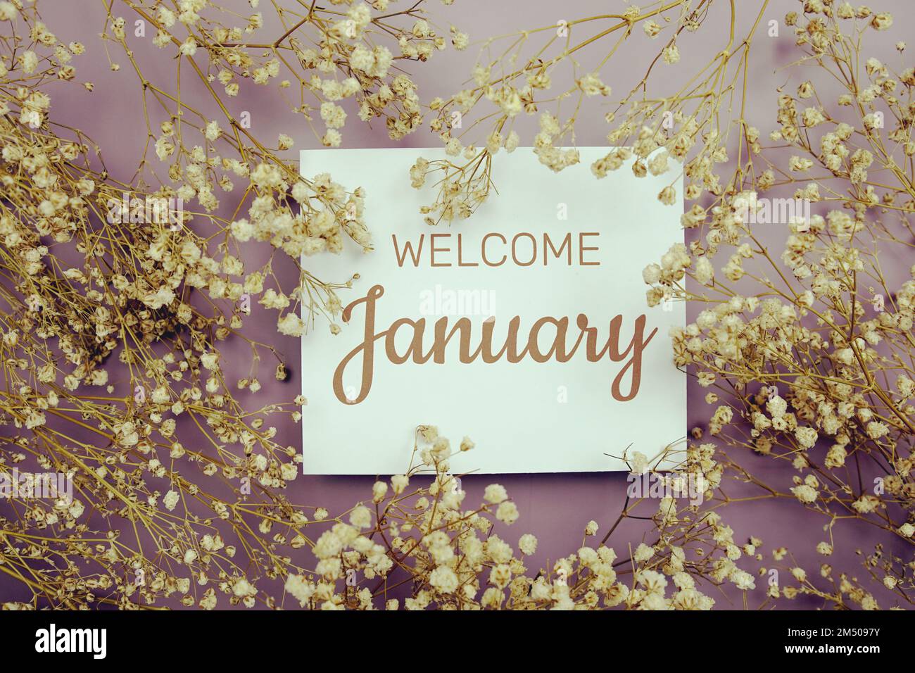 Welcome January