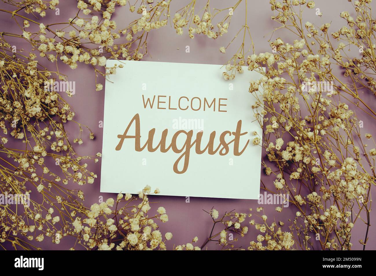 Welcome August text on paper card with flower decoration on purple ...