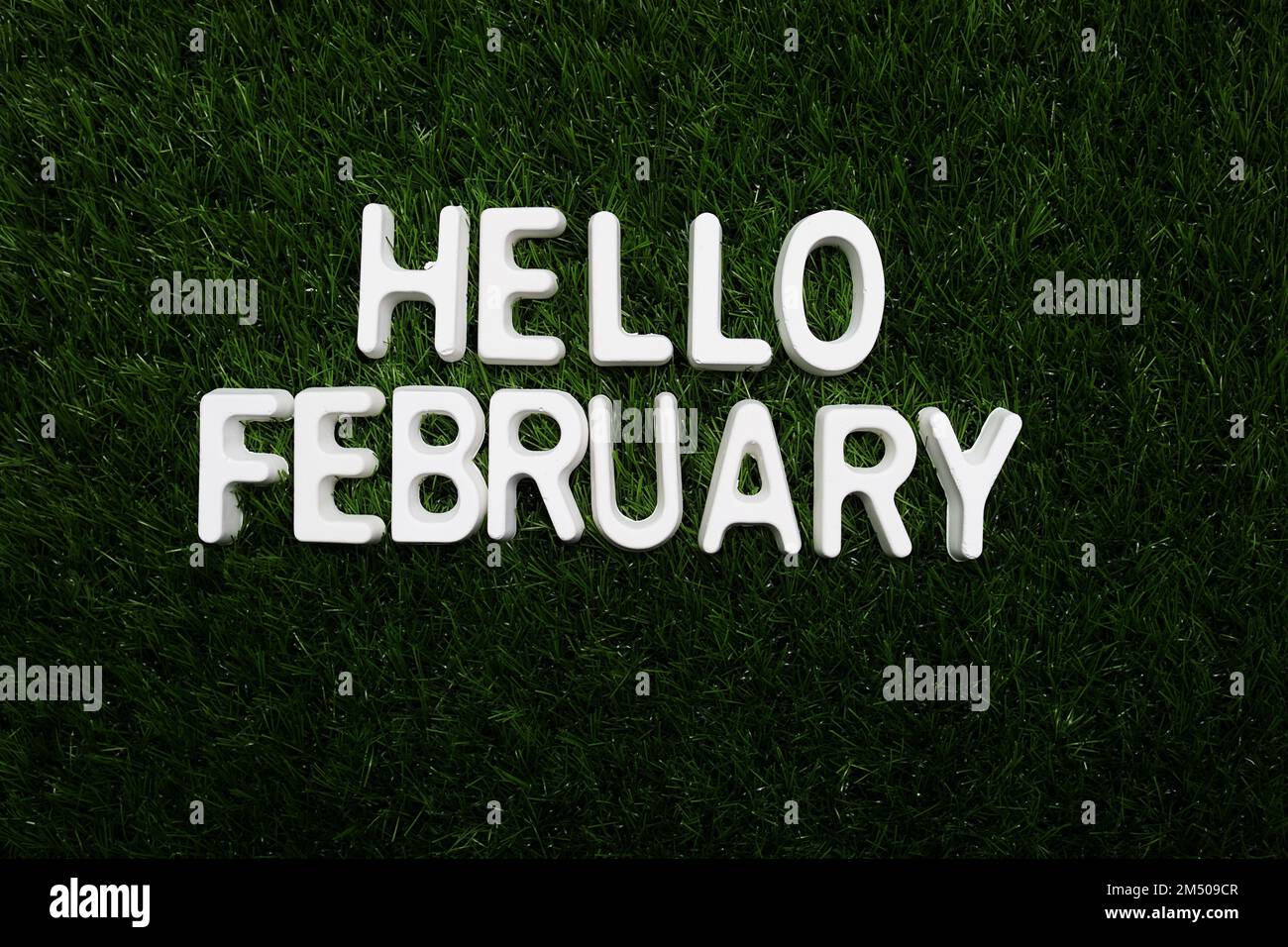 Hello February alphabet letter on green grass background Stock Photo ...