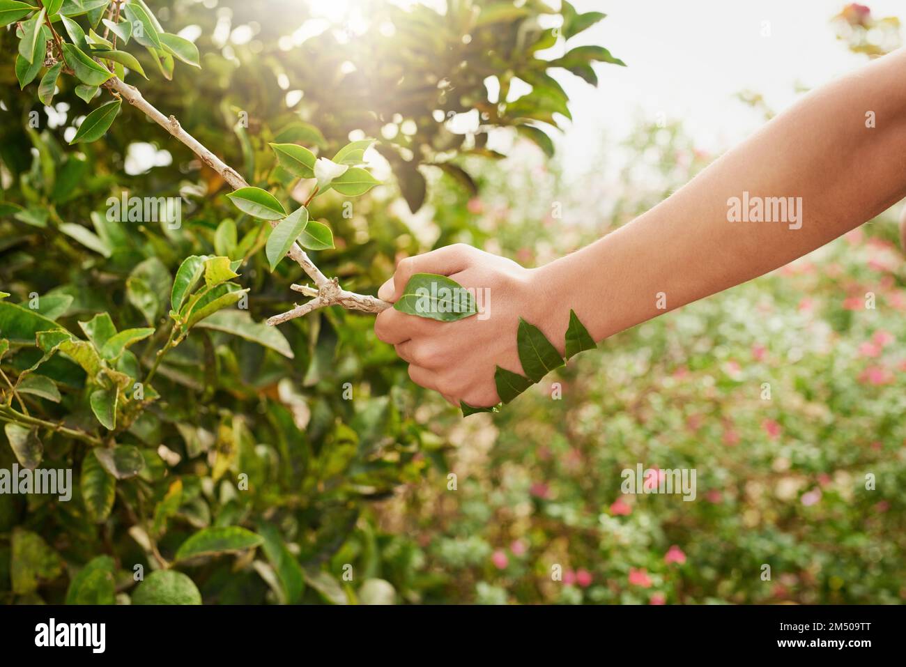 Helping the planet will help you. an unidentifiable young man shaking ...