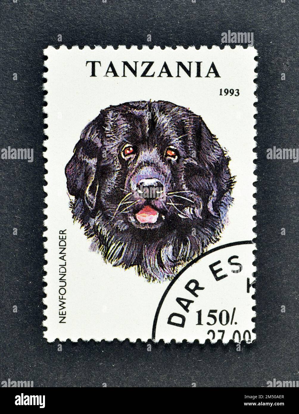 Cancelled postage stamp printed by Tanzania, that shows Newfoundland ...