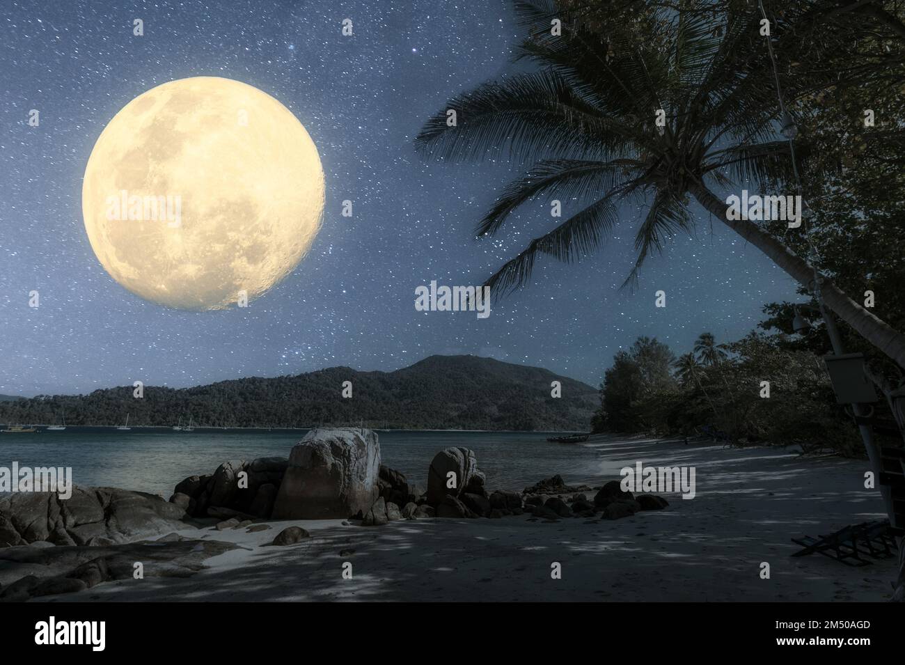 Big moon glowing over tropical sea beach and palm tree in the night ...