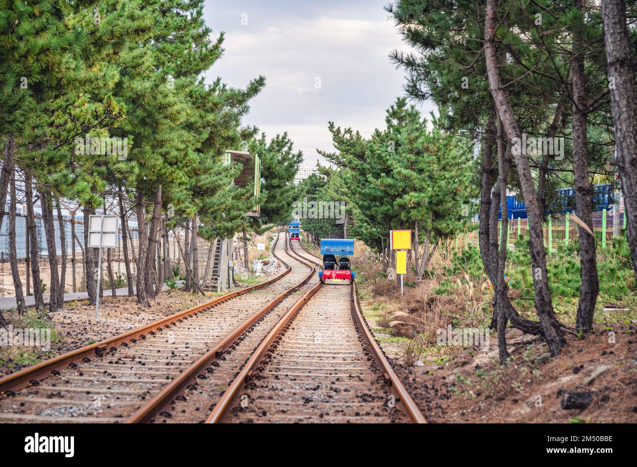 Activity of ocean rail bike on railway running through tree tunnel by ...