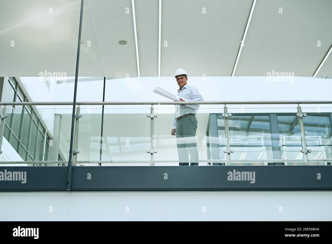 Making plans for development. Portrait of a focused professional male ...