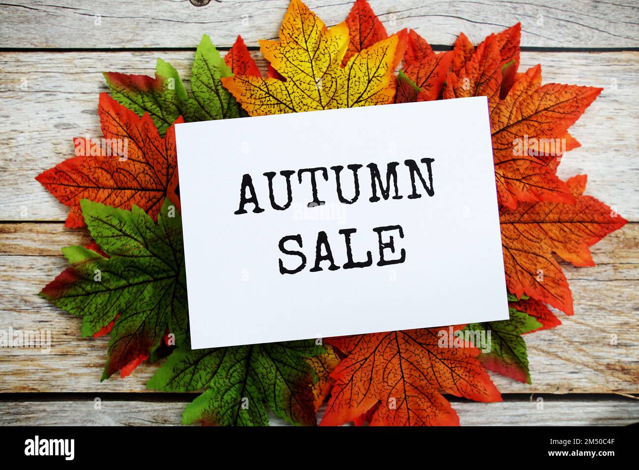 Autumn Sale text message with maple leaves on wooden background Stock ...