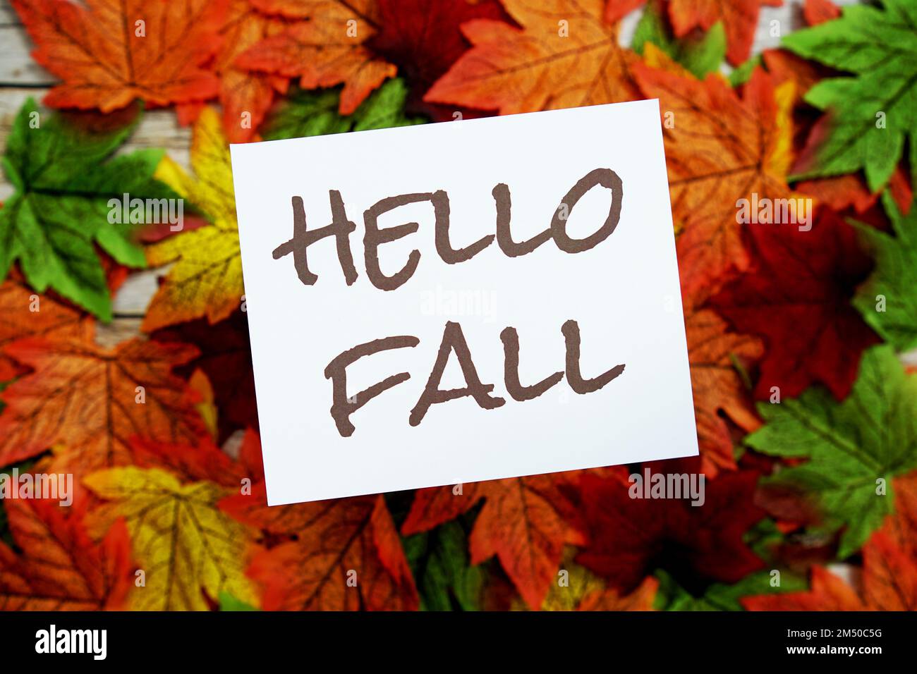 Hello Fall text message with maple leaves on wooden background Stock ...