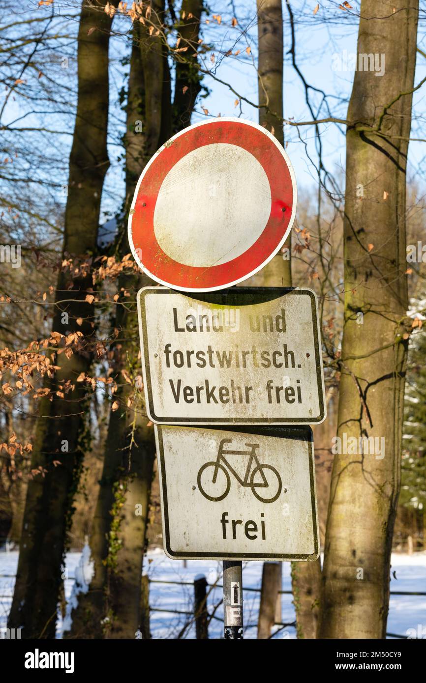 A vertical closeup shot of street signs on the trunk of a tree in the ...