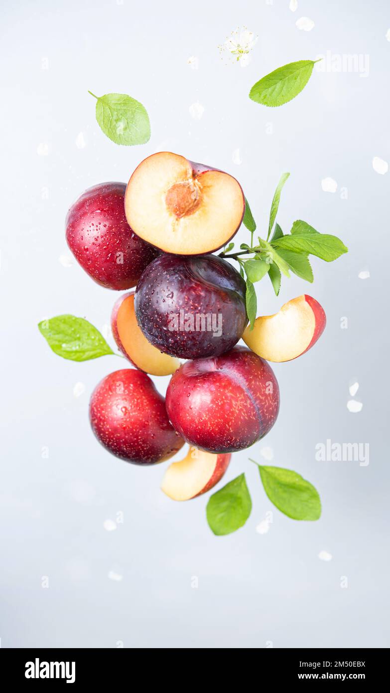 Levitation concept flat lay with juicy red plums with green leaves on a ...