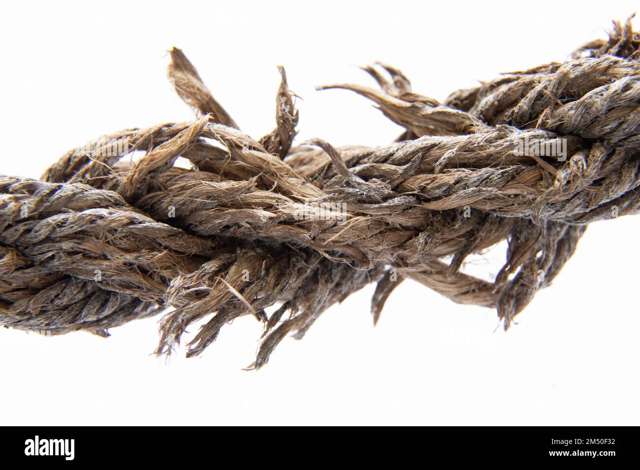 boat torn rope macro photo on isolated background Stock Photo - Alamy