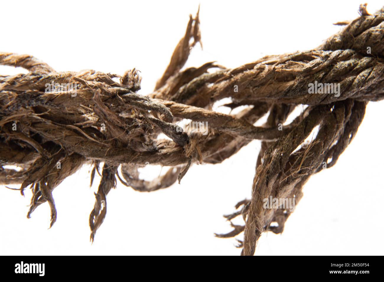 boat torn rope macro photo on isolated background Stock Photo - Alamy
