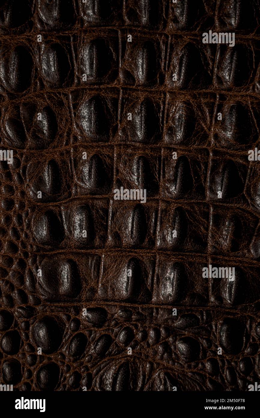 Crocodile skin bag hi-res stock photography and images - Alamy