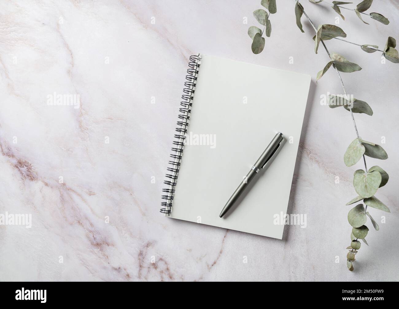 Home office workspace layout with a white notebook, pen and dried ...