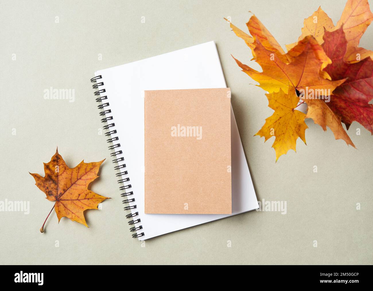 Concept autumn flat lay with yellow maple leaves, notebook and notepad ...